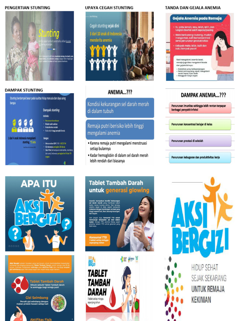 Leaflet Aksi Bergizi 2024 | PDF