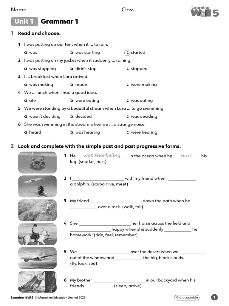 LW TRC5 Grammar U01 | PDF