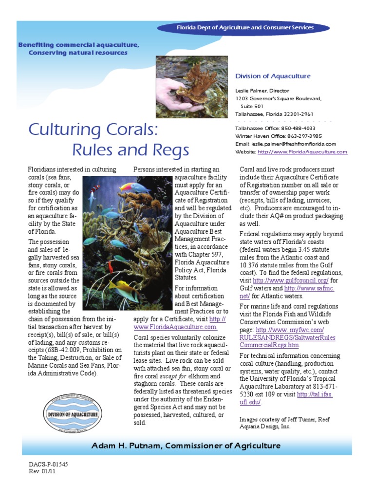 Coral Culture Fact Sheet | PDF | Aquaculture | Coral