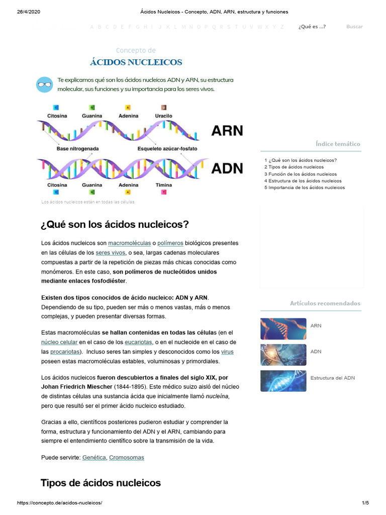 Ácidos Nucleicos - Concepto, ADN, ARN, Estructura y Funciones-Lectura ...
