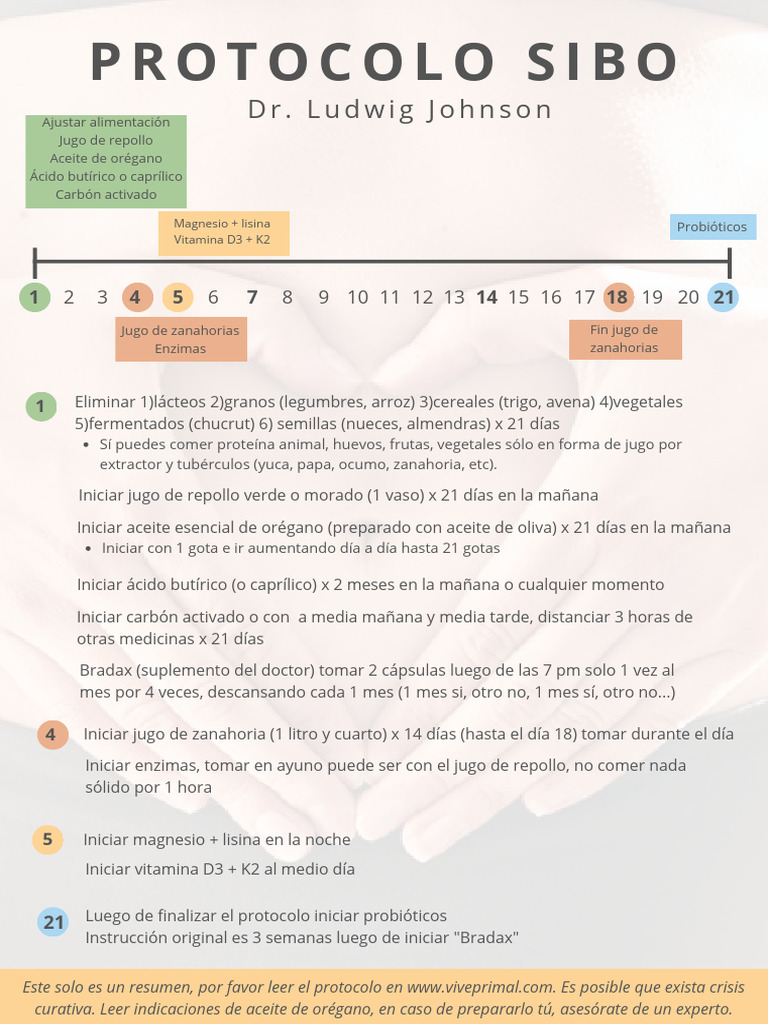 Protocolo SIBO | PDF