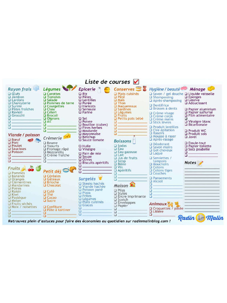 Liste de Courses Radin Malin | PDF