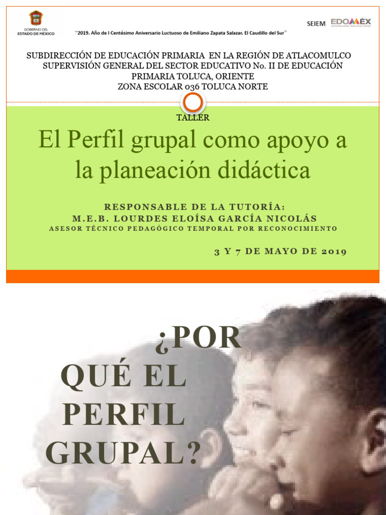 Perfil Grupal | PDF | Aprendizaje | Plan de estudios