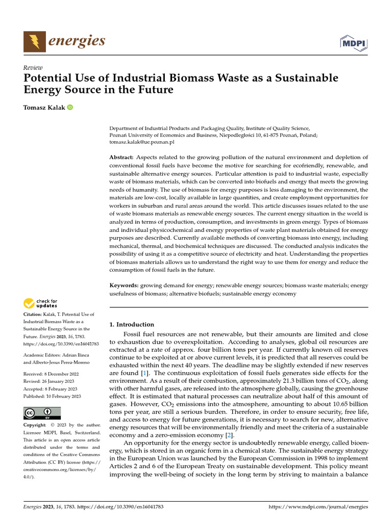 Biomass As A Waste in Sustainable Energy Potential Source in Future ...