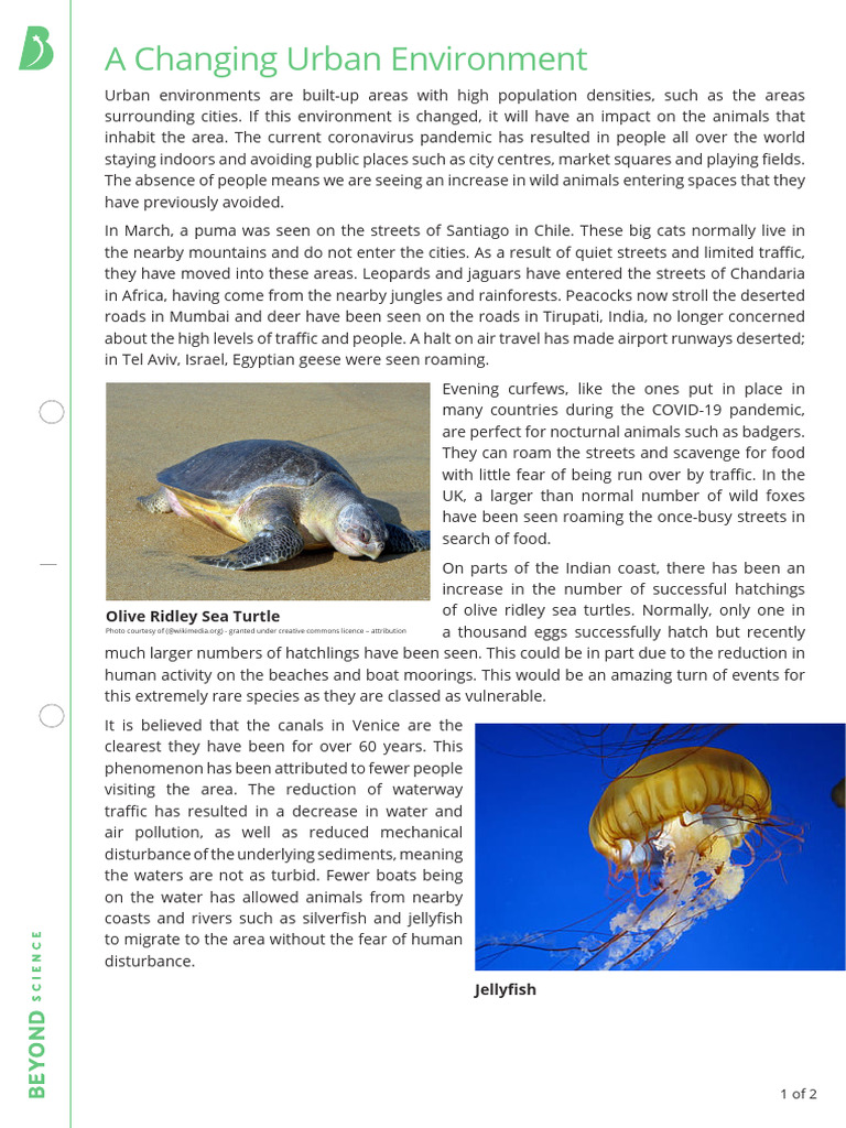 A Changing Urban Environment Reading Comprehension | PDF | Zoology