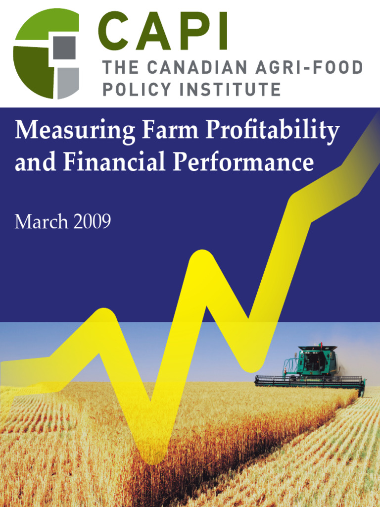 Capi Farm Income Report June 12 2009 | PDF | Gross Margin | Book Value