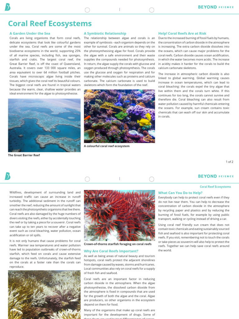 Coral Reefs: Ecosystems at Risk | PDF | Coral Reef | Coral