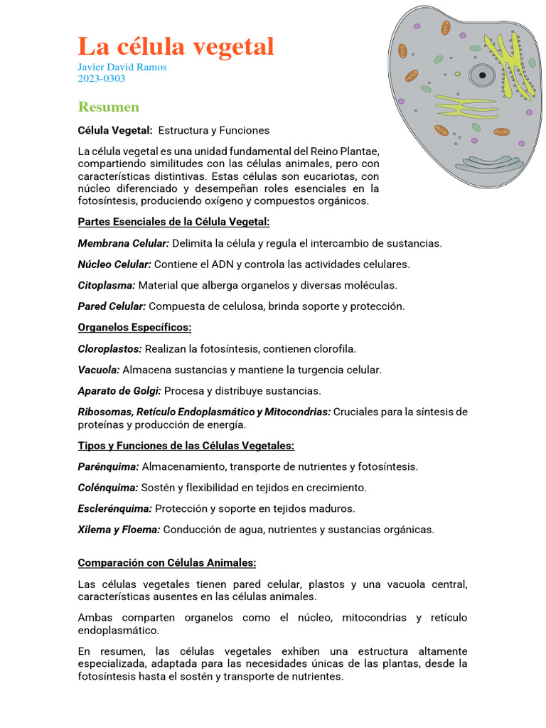 La Celula Vegetal (Resumen) | PDF