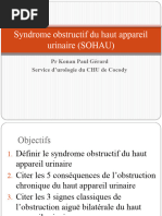 Syndrome de la Jonction Pyelo-Uréterale | PDF | Rein | Spécialités ...
