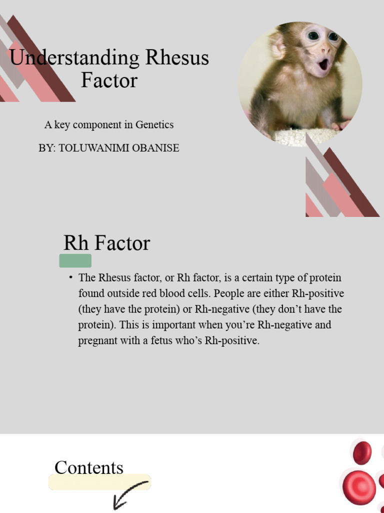 Understanding Rhesus Factor | PDF | Pregnancy | Human Reproduction