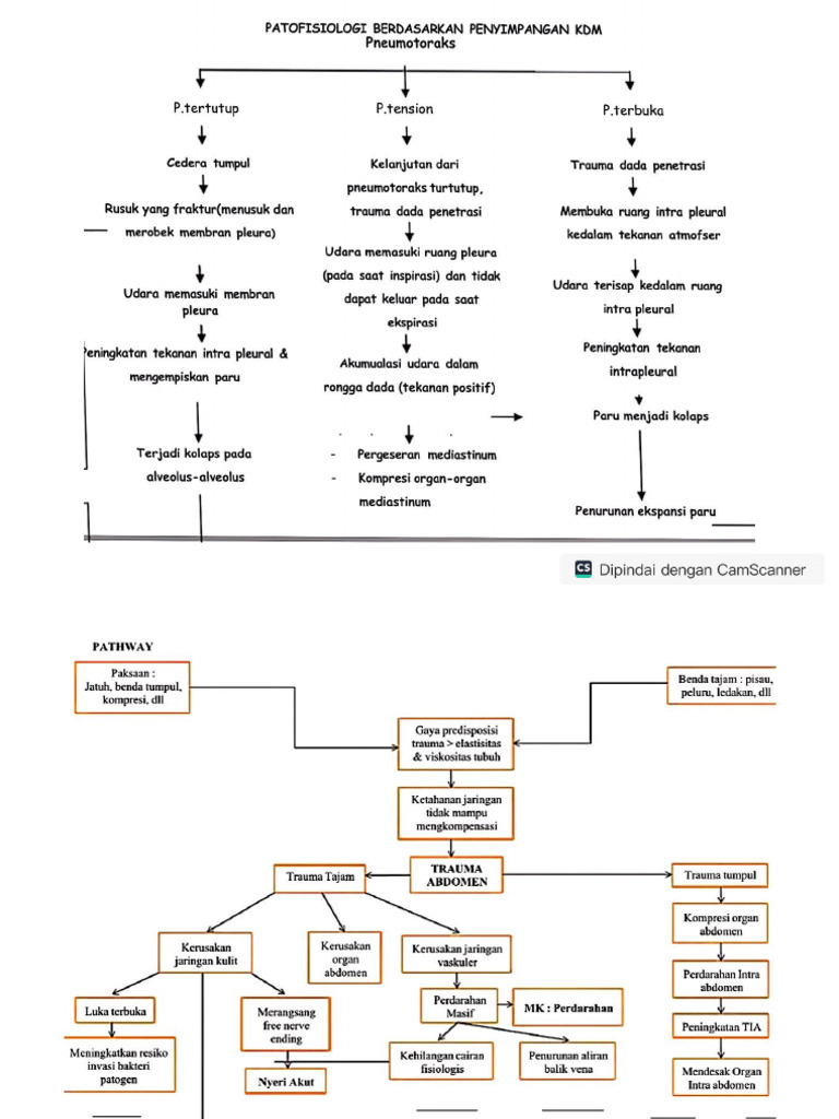 Patofisiologi Trauma Tumpul TTU | PDF