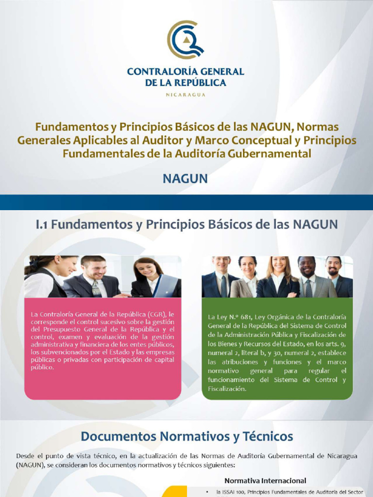 Fundamentos y Principios Básicos de La NAGUN, Normas Gubernamentales ...