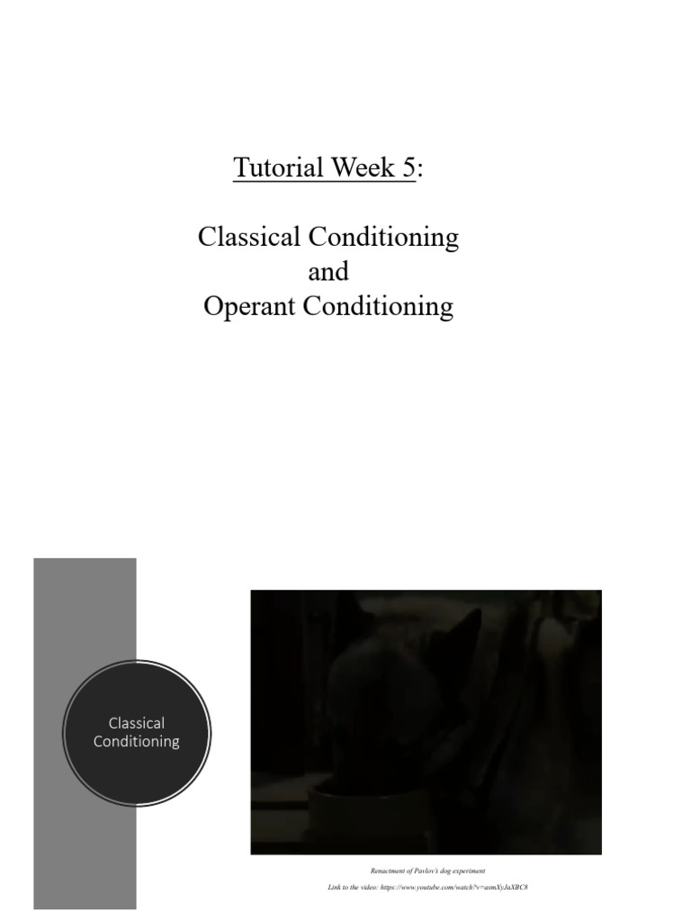 Classical and Operant Conditioning | PDF