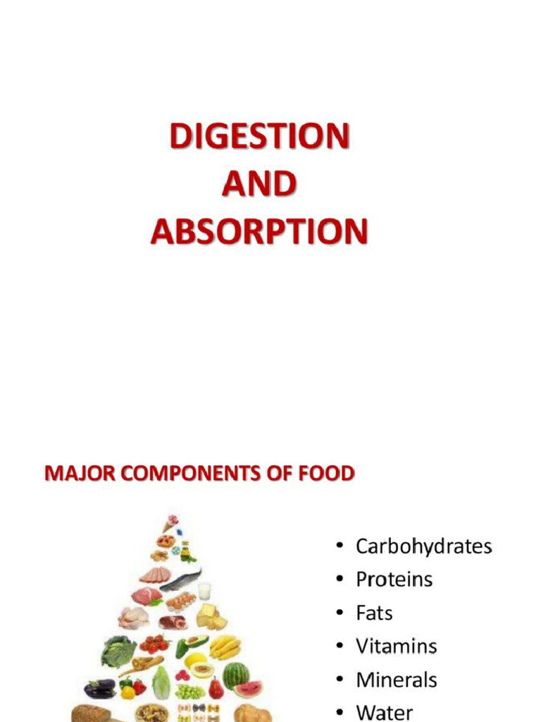 ZOO102 - Nutrition, Digestion and Absorption-1 | PDF | Stomach | Digestion