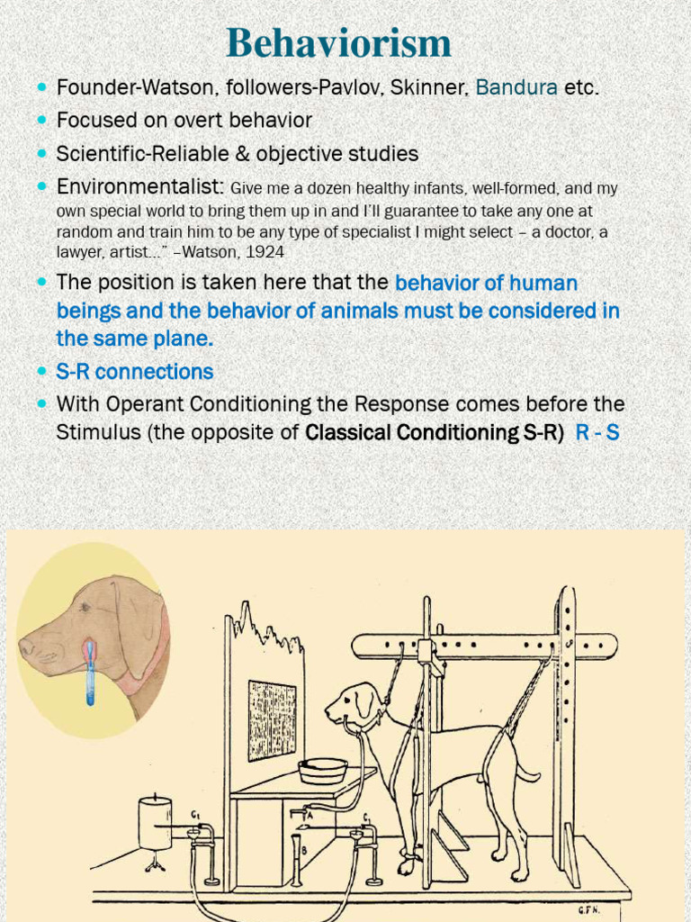 L-6-1-3 Behaviorism - 2023 | PDF | Reinforcement | Classical Conditioning
