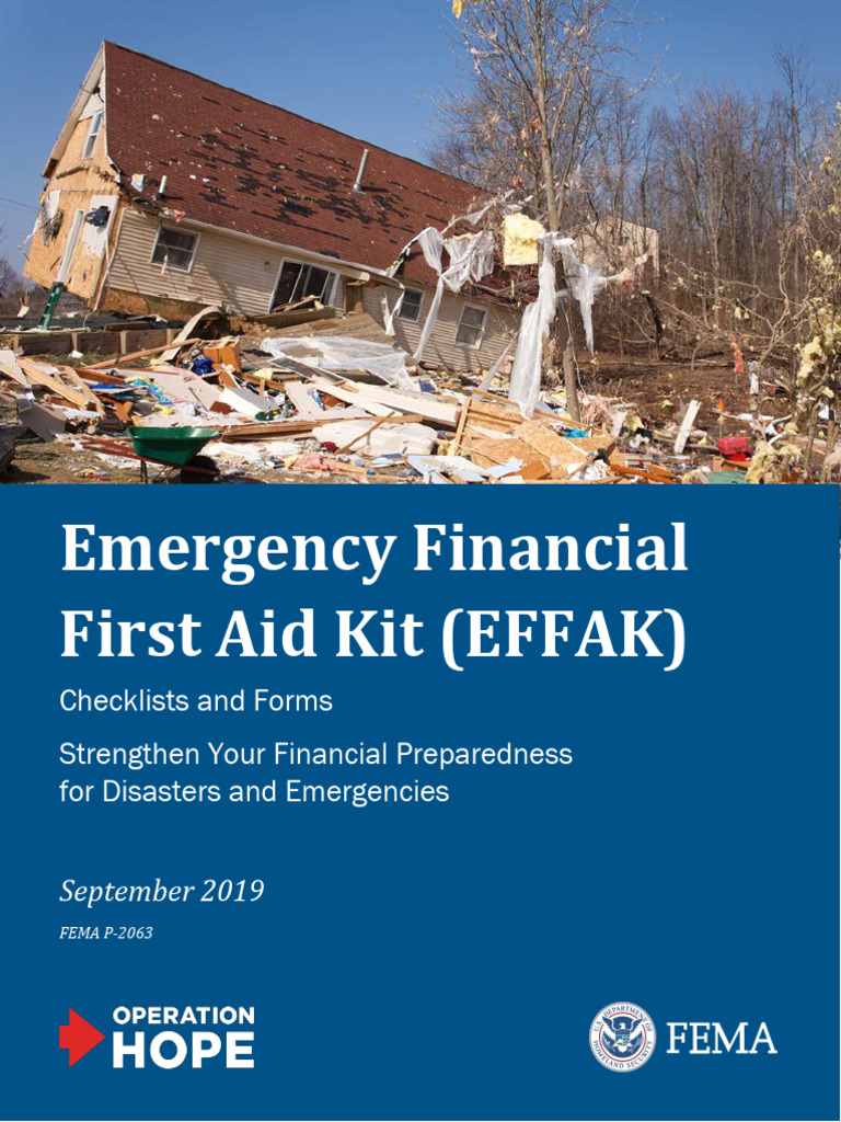Fema - Effak Toolkit Checklists Forms | PDF | Credit Card | Payments