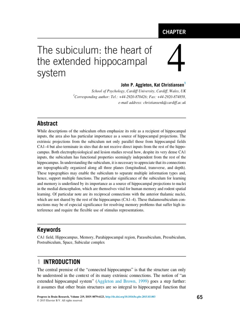 The Subiculum's Role in Memory Systems | PDF | Hippocampus ...