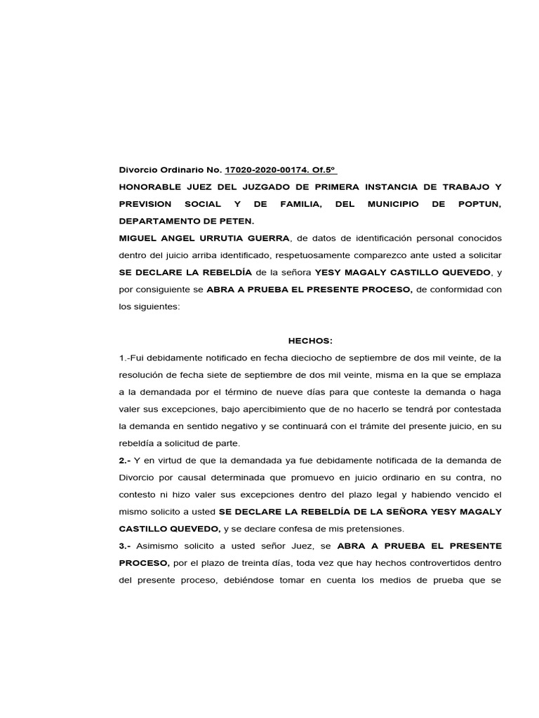 Solicitud de Rebelde en Divorcio 17020 | PDF | Demanda judicial | Ley ...