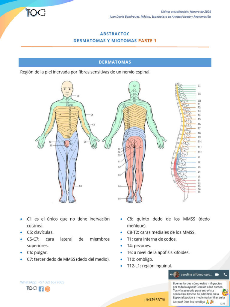 AbstracTOC. Dermatomas y Miotomas p1 | PDF | Anatomía humana | Extremidades (anatomía)