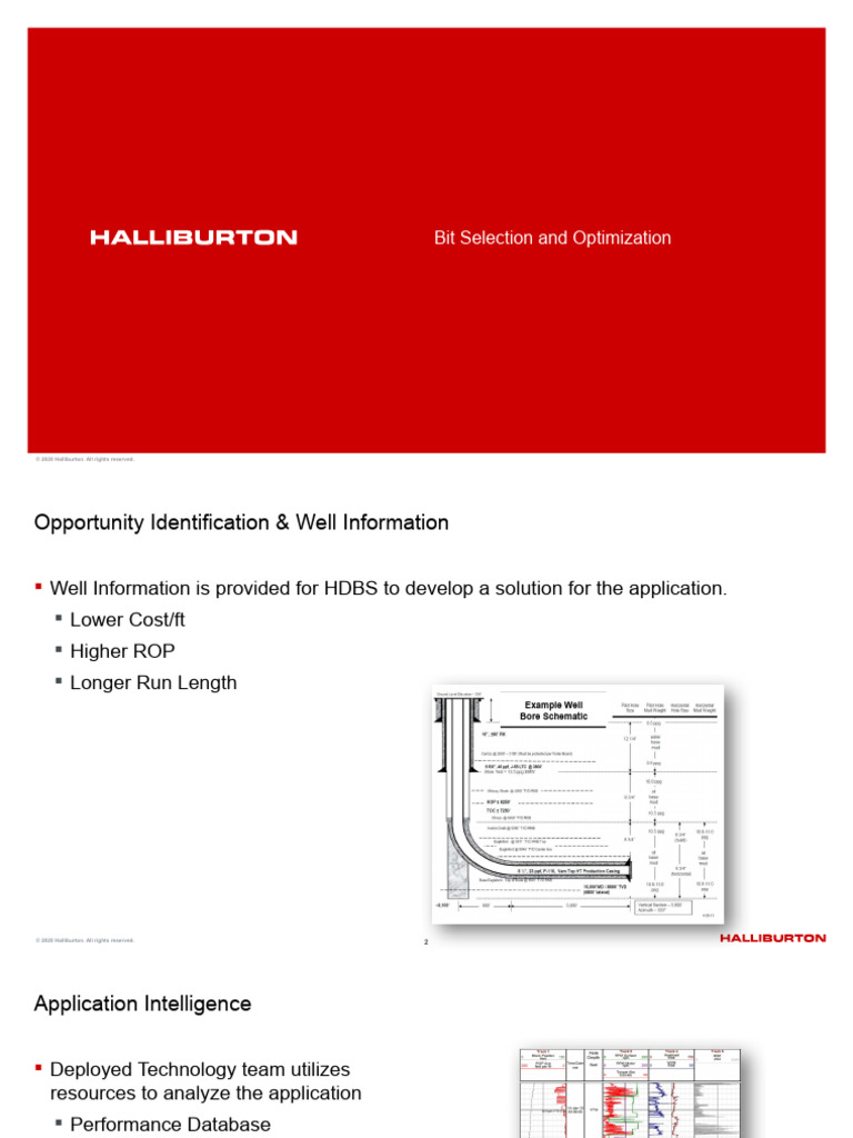 HDBS Bit Selection and Optimization Guide | PDF | Databases | Information