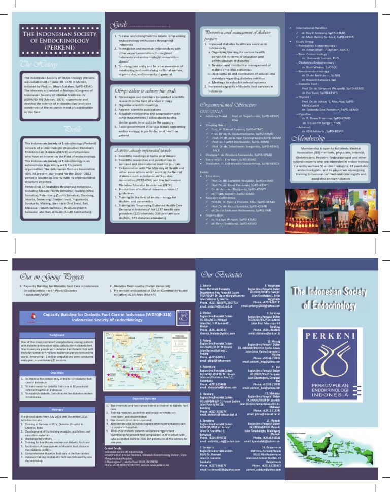 Perkeni | PDF | Endocrinology | Indonesia