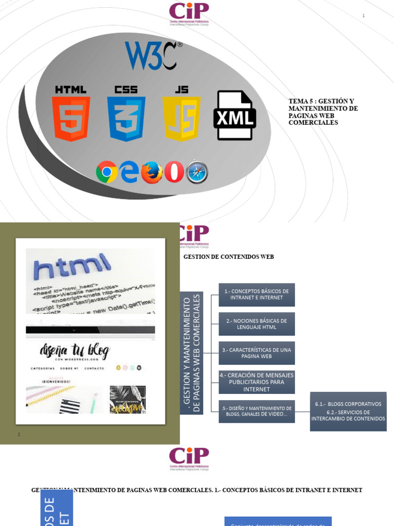 Tema 5 | PDF | Red mundial | Internet y web