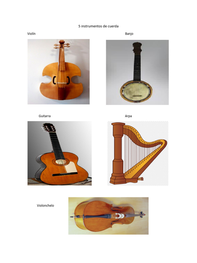 Instrumentos de cuerda y percusión | PDF