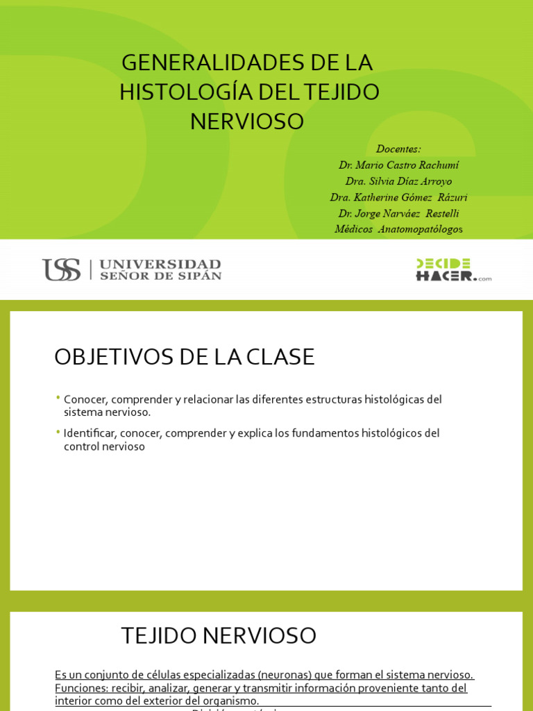 Teoria Histologia Generalidades Tejido Nervioso | PDF | Sistema nervioso | Neurona