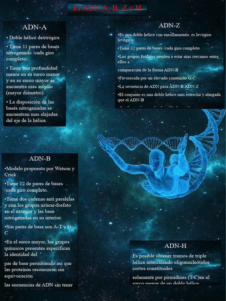 Infografia ADN | PDF