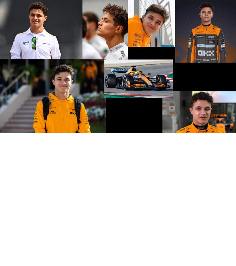 F1 | PDF