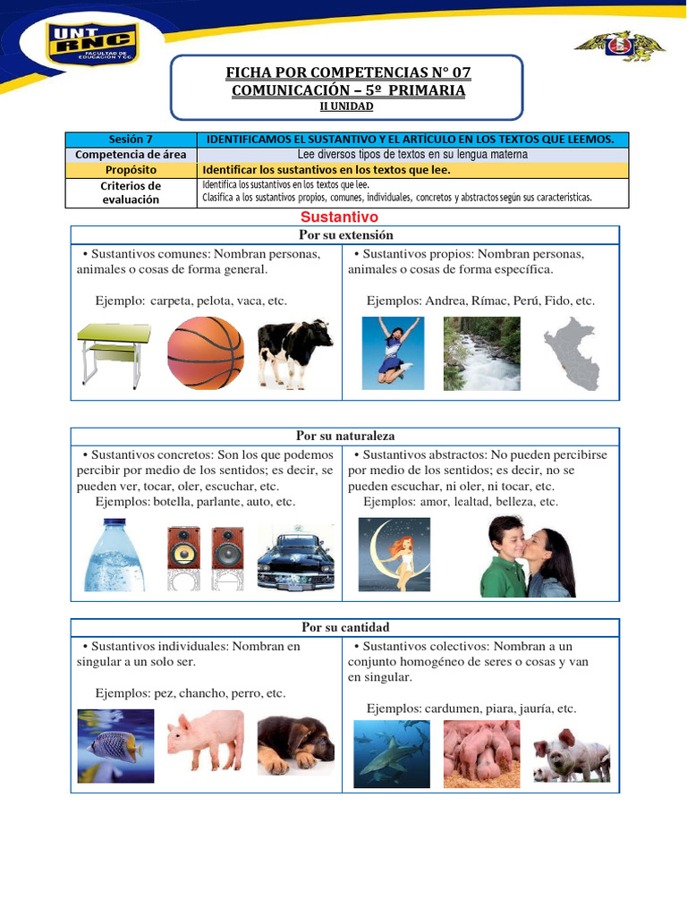 Ficha 7 El Sustantivo y Artículo | PDF | Sustantivo | Género gramatical
