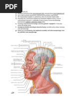 Anatomia Swini Atlas Interaktywny | PDF