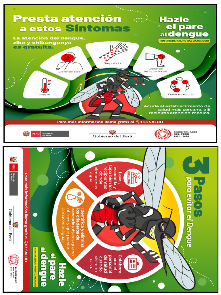 Dengue AFICHE | PDF