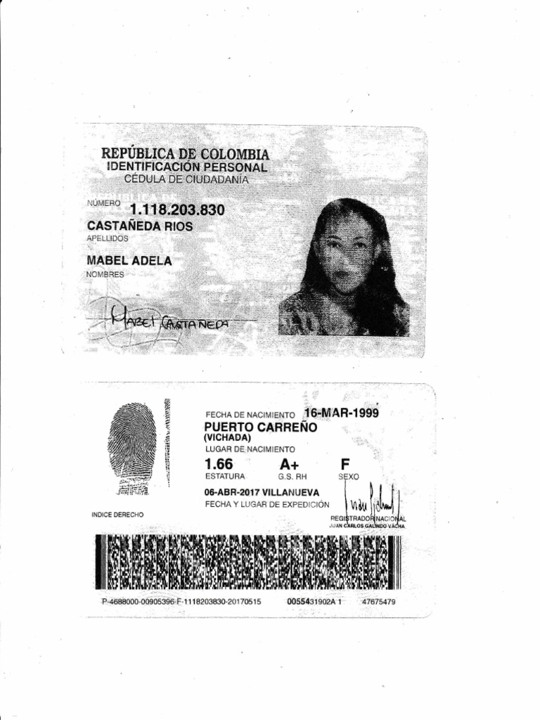 Documentos Mabel - 20240617 - 0001 | PDF