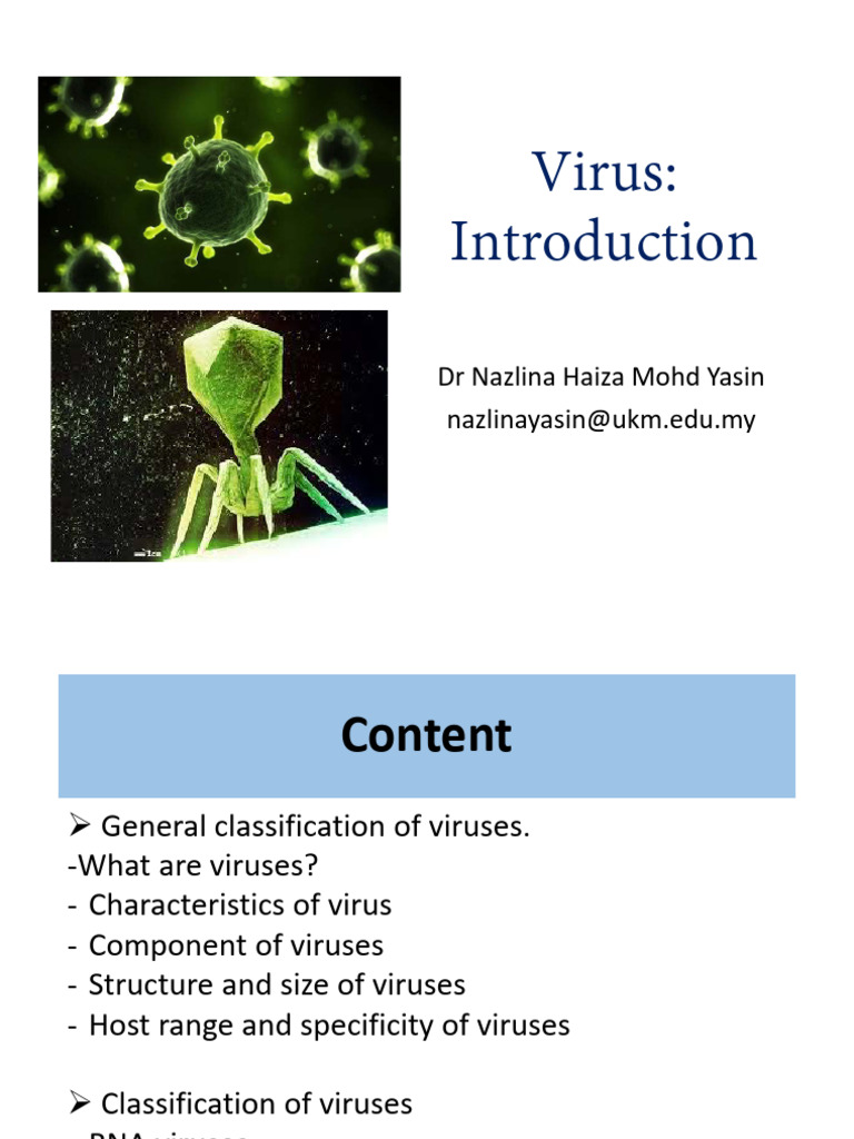 Virus Introduction Lecture Notes | PDF | Virus | Virology