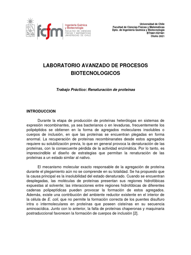 E2 Lab Renaturacion de Proteinas | PDF | Proteínas | Plegamiento de ...