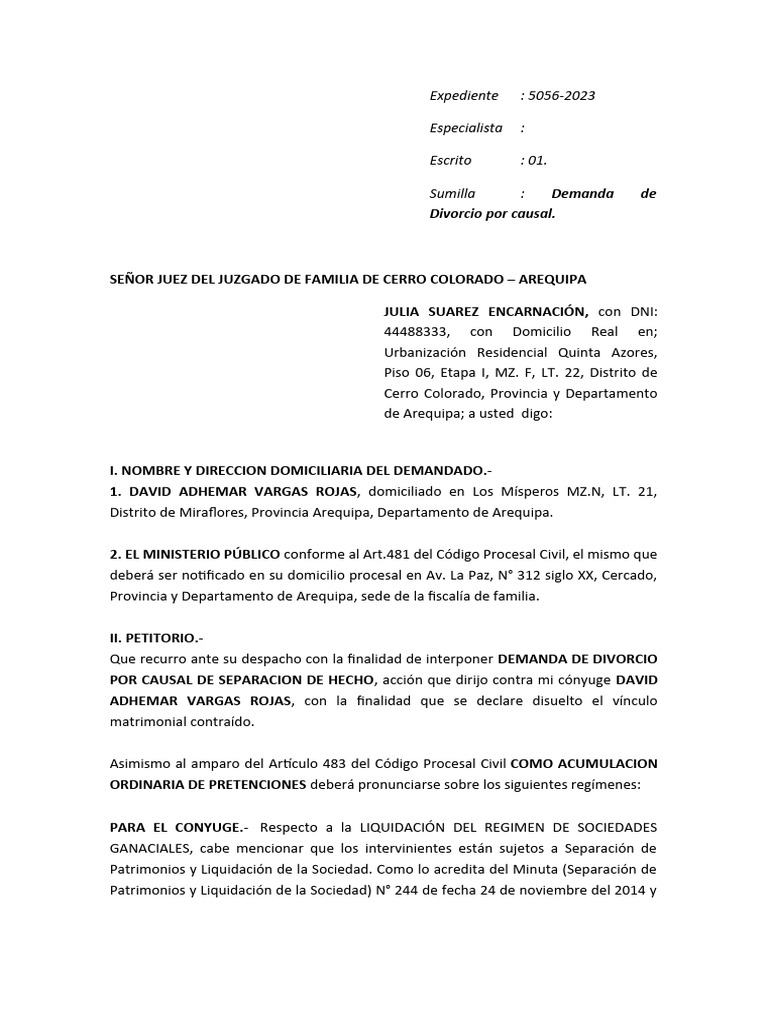 Demanda Final | PDF | Divorcio | Demanda judicial
