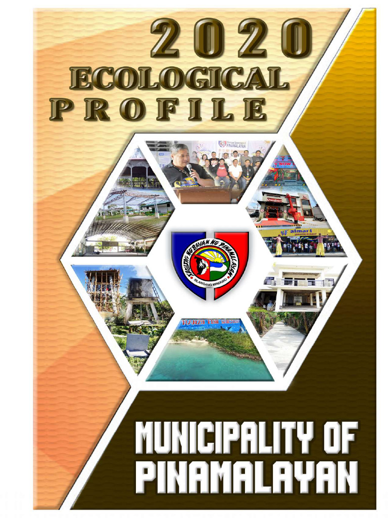 Pinamalyan Ecological Profile 2020 | PDF | Agriculture | Hazards