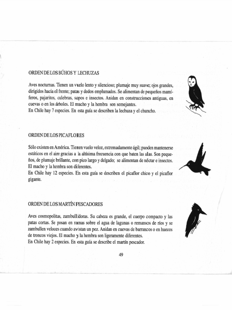 Pájaros 5 | PDF