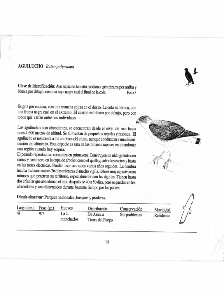 Pajaros 4 | PDF