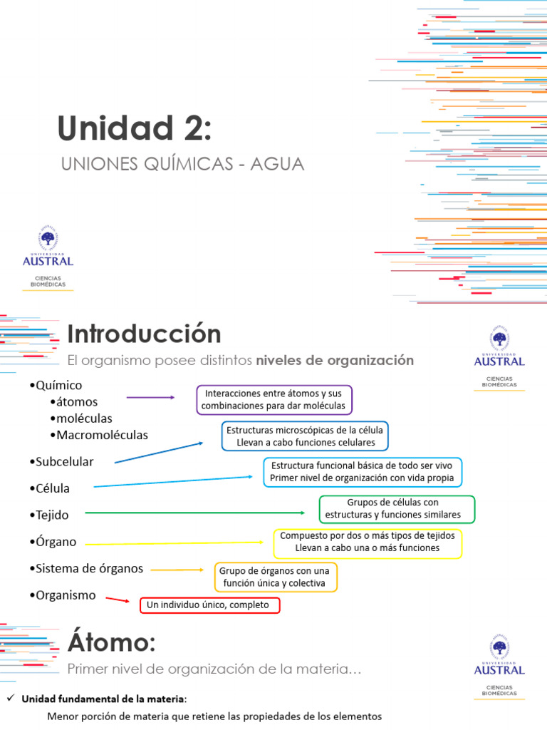 Uniones Químicas - Agua. | PDF | Átomos | Enlace químico