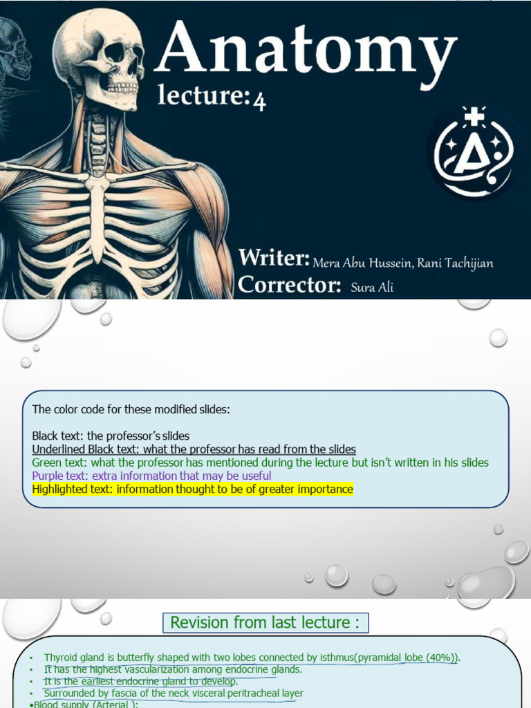 Endo Adrenal Class Notes | PDF | Thyroid | Thyroid Stimulating Hormone