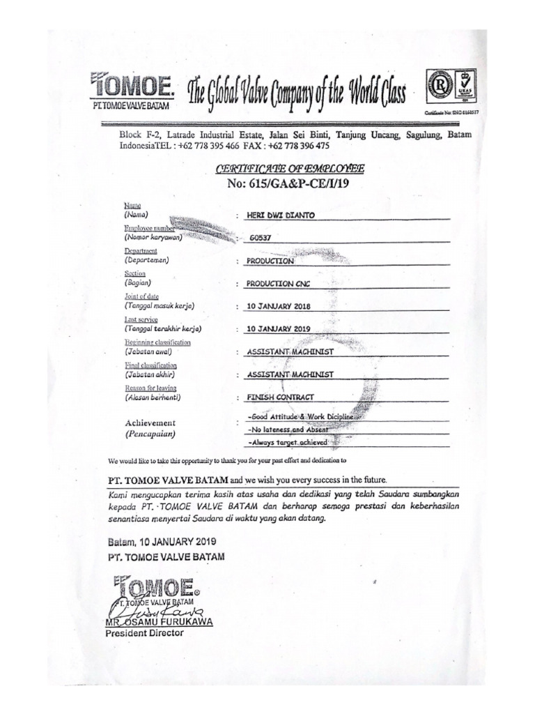 Pengalaman Tomoe | PDF