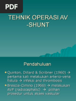 Leaflet Perawatan Av Shunt | PDF