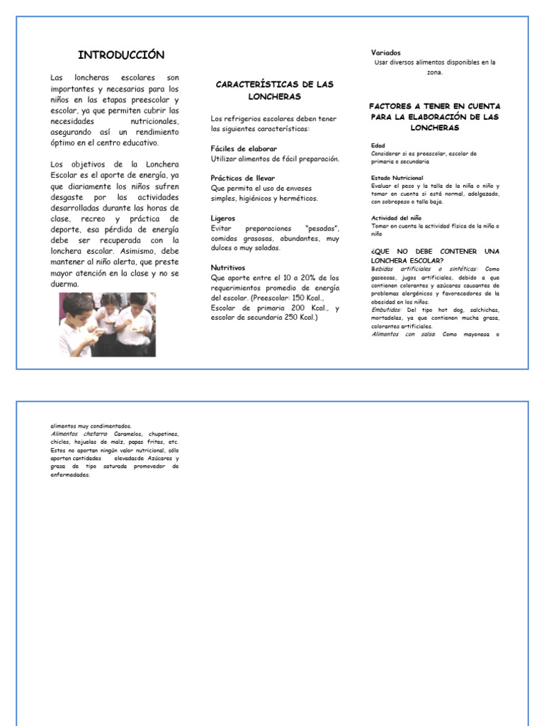Triptico Lonchera Saludable | PDF | Fruta | Alimentos