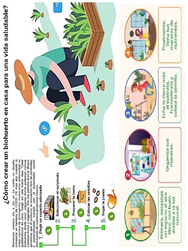 Pasos para Un Biohuerto 2 | PDF