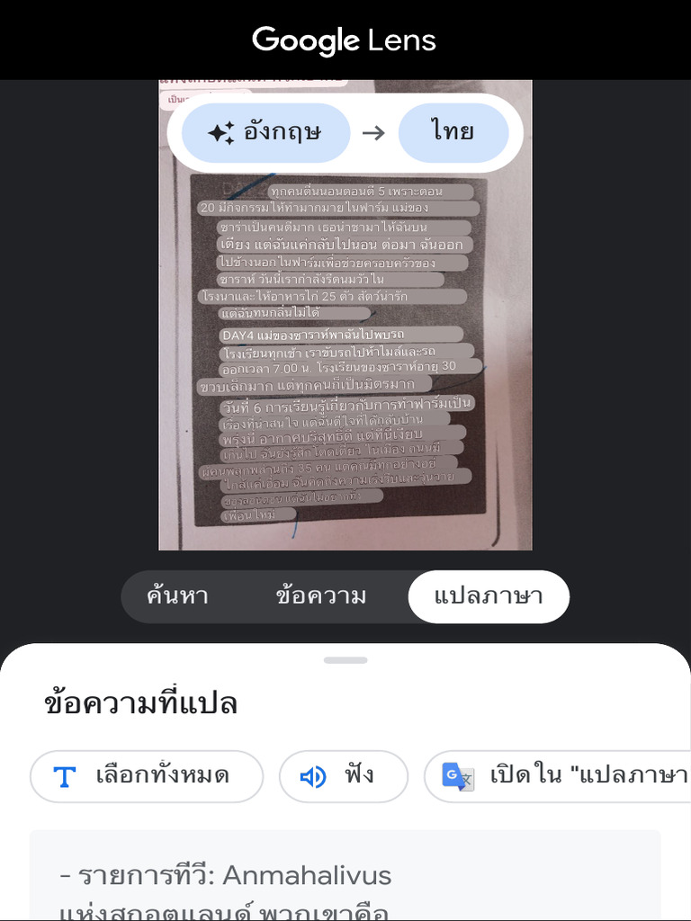 Google Lens | PDF