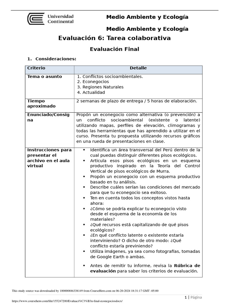 Evaluaci N Final Econegocios | PDF