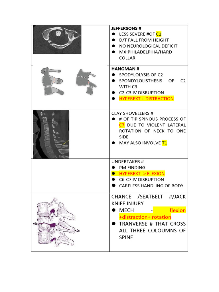 Orthopaedic Fractures | PDF