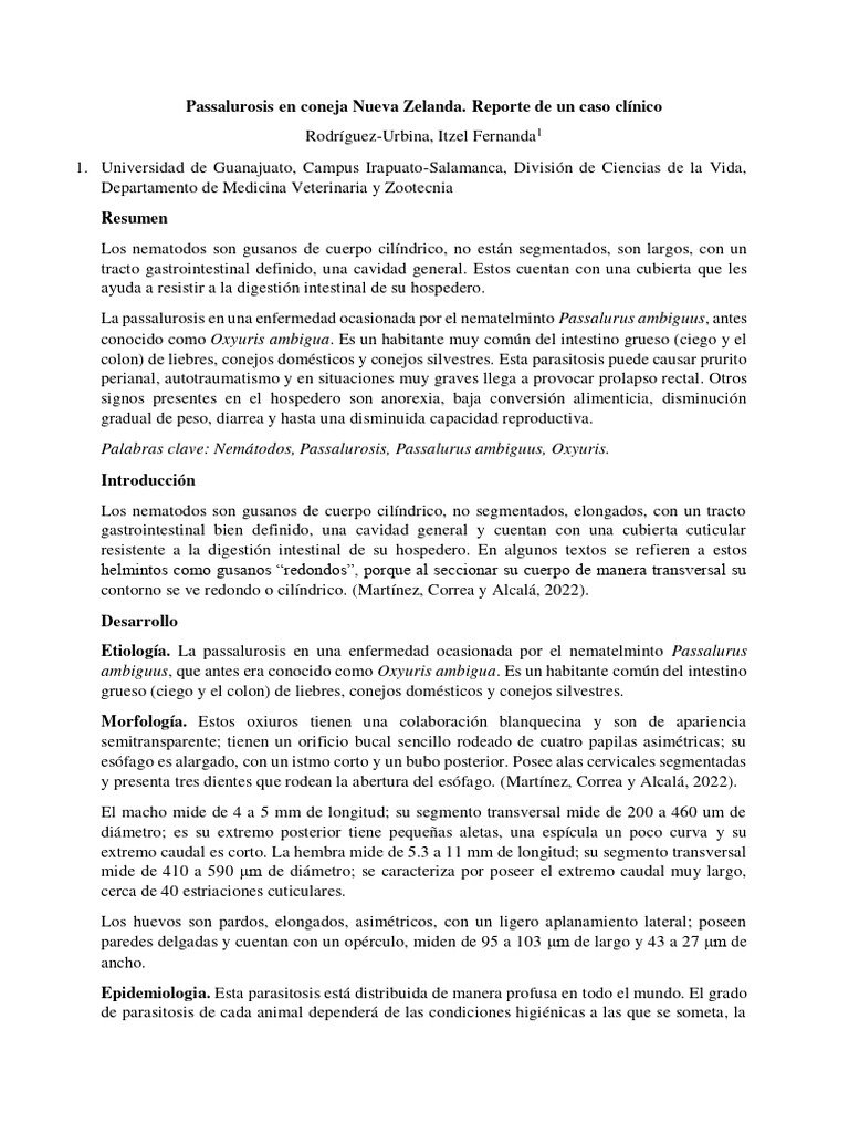Passalurosis en coneja Nueva Zelanda | PDF | Tracto gastrointestinal ...